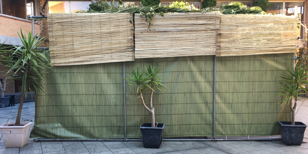 How to Build a Succah | Masorti Judaism